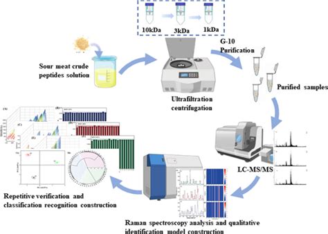 利用拉曼光谱和lc Msms技术测定酸肉中的小肽 生物通