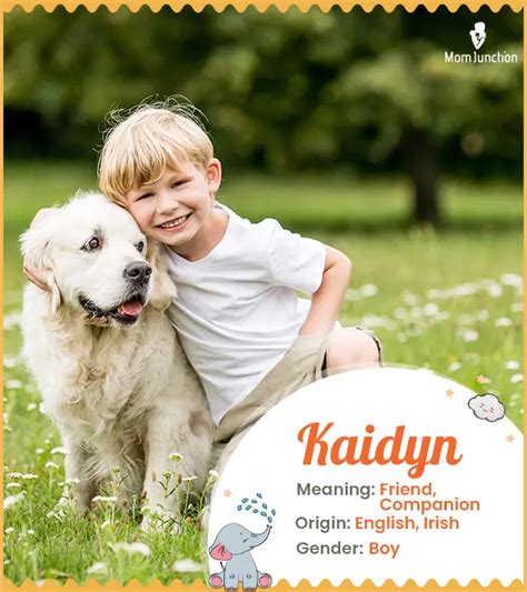 Explore Kaidyn Meaning Origin And Popularity