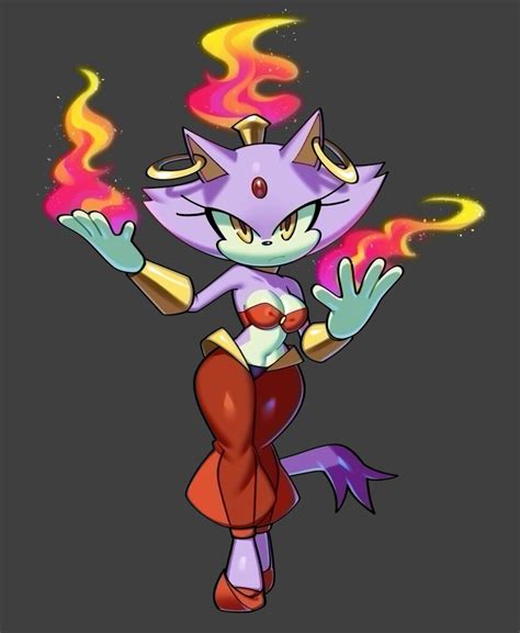 Fiinel Blaze The Cat Shantae Sonic Series Highres 1girl Animal