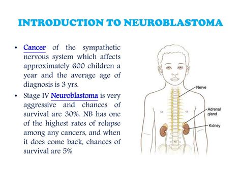 Ppt Neuroblastoma Symptoms Diagnosis And Treatment Options