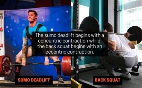Sumo Deadlift Vs Back Squat Differences Pros Cons