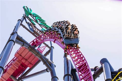 Warner Bros Movie World Entry Ticket Book Online