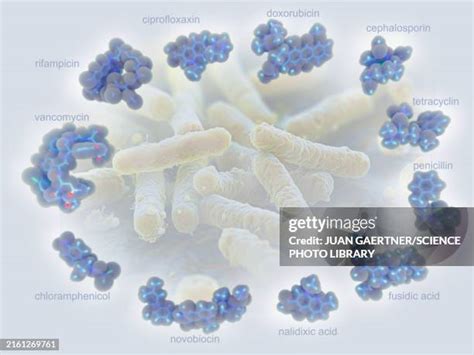 122 Penicillin Structure High Res Illustrations Getty Images