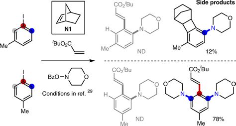 An Example Of The Ortho Constraint Without Ortho Substituents Download Scientific Diagram