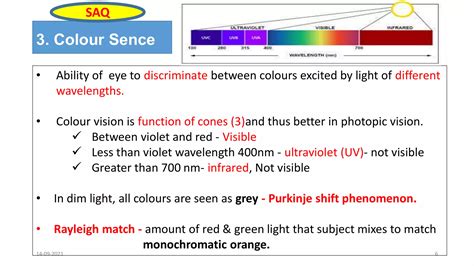Lecture 72022 Special Senses Vision 7 Physiology Of Vision Visual Perception Pdf