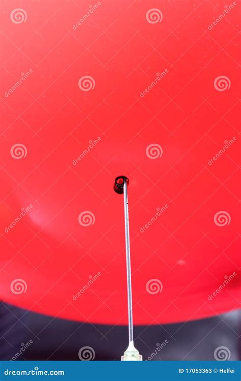 Ink Cartridges Stock Image Image Of Bottle Injection 17053363