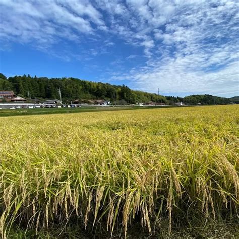 7t5h Hide Hide 57 • Threads Say More