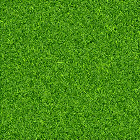 Premium Vector Green Grass Background Vector