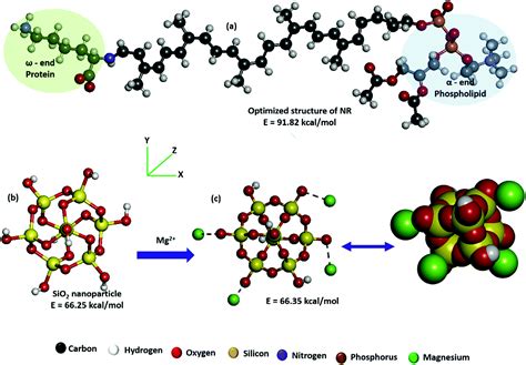 Natural Rubber Structure