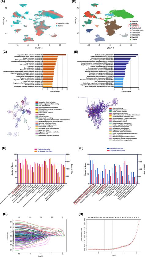 Single‐cell Transcriptomic Atlas Of 29 Samples From Normal Lung Early Download Scientific