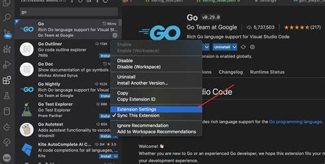 vscode编辑器中无法跳转go 引用的问题 张璨 博客园