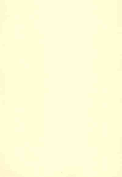 Hajimete No Sex Nhentai Hentai Doujinshi And Manga