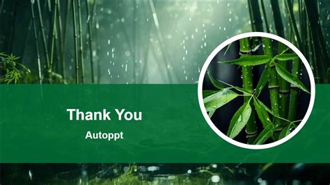 Bamboo Theme Powerpoint Template Autoppt