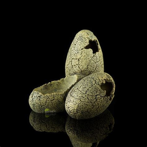 Яйца Динозавра Hagen Exo-Terra Dinosaur Eggs, small купить в Москве по ...