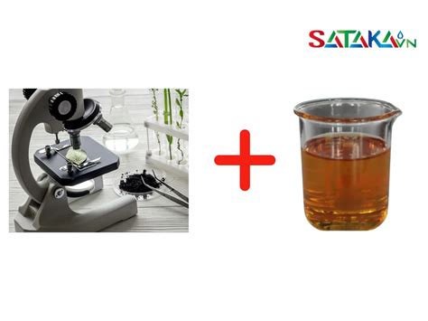 Learn About Cypermethrin To Kill Pests Effectiveness And How To Use