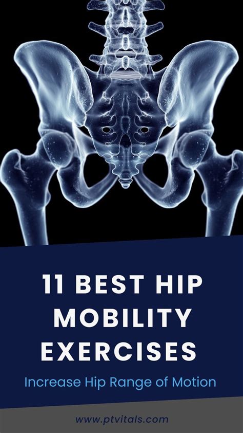 11 Best Hip Mobility Exercises │ Pt Vitals Hip Mobility Exercises Hip Mobility Mobility