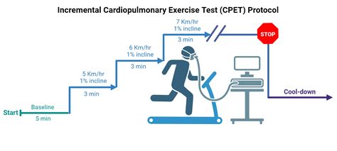 Incremental Cardiopulmonary Exercise Test Cpet Protocol Illustrated
