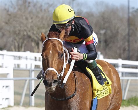 Incentives Maximize Louisiana Breeders Rewards Today — Louisiana