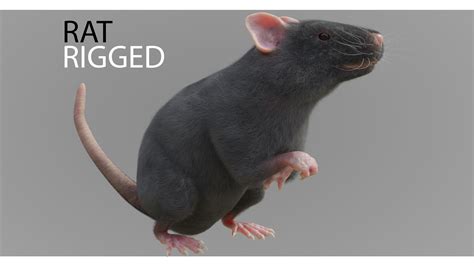 ret for vfx cgi 3d model turbosquid 2213421