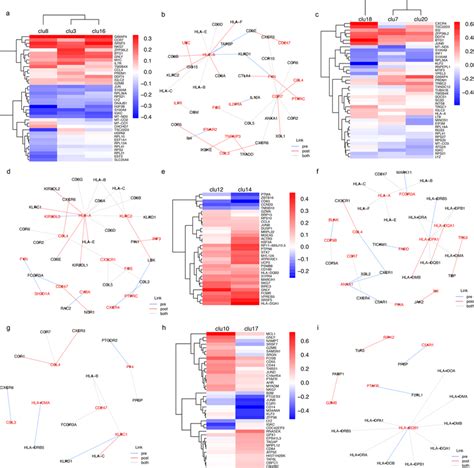 Cell Type Cluster Based Differential Gene Expression Gene Gene Download Scientific Diagram