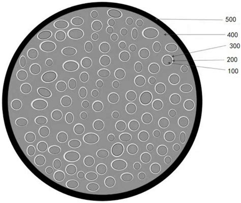 Negative Electrode Material Preparation Method Thereof And Lithium Ion