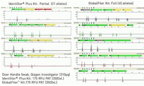Globalfiler™ Pcr Amplification Kit