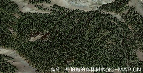 中国第一颗0 8米遥感卫星高分二号拍摄的森林树木图片 卫星百科