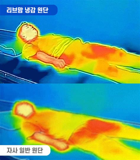 Livnicecoolpadpre3set02