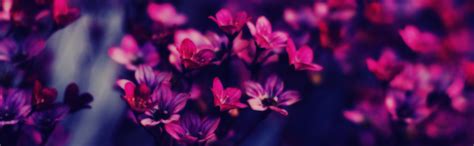 大凤林 全国立直麻将网络联赛赛事管理平台