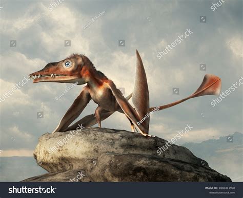 Eudimorphodon One Oldest Know Pterosaurs Prehistoric Stock Illustration