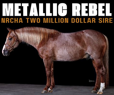 Guinn Ranch Guinn Ranch Added A New Photo