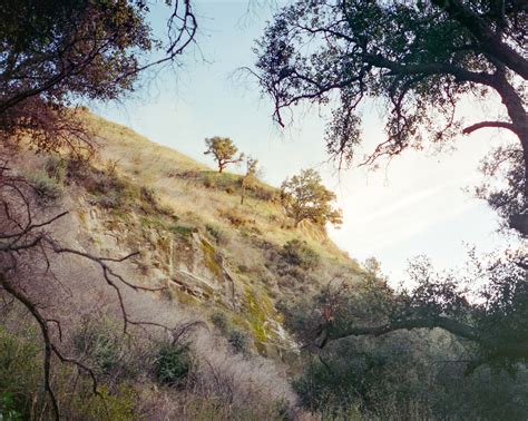 Whiting Ranch — Kate Dollarhyde