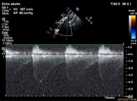 Maples Scientific Publisher Open Access Journals Peer Reviewed