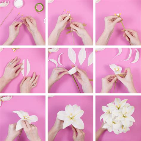 Lily Flower Template Printable Best Flower Site