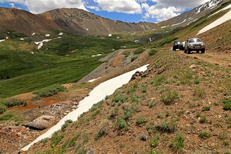Summer Flowers A Bumpy Truck Ride And My First Outing To Argentine