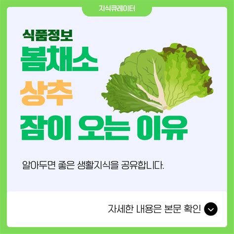 상추 맛과 건강을 동시에 선사하는 봄의 잎채소 서부산닷컴 상추 맛과 건강을 동시에 선사하는 봄의 잎채소 서부산닷컴