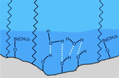 Understanding Stationary Phase Chemistry For Reversed Phase Hplc Chromacademy