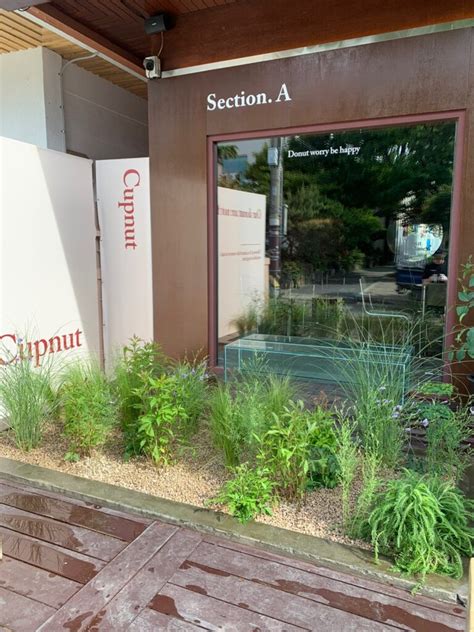 Cup Nut Cafe Gluck Cafe Bota Project