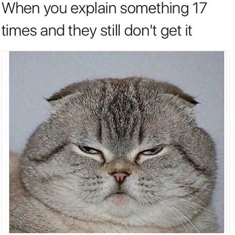 Explaining Meme Template