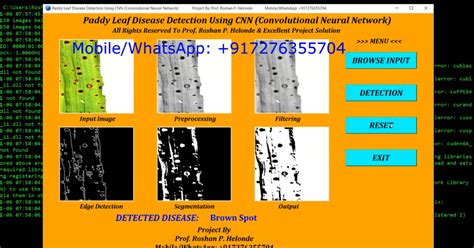Paddy Leaf Disease Detection Using Cnn Paddy Leaf Disease