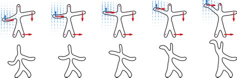 Illustration Of The Exp Parallelization Concept Top Row The Reference Download Scientific