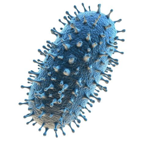 3d Rendering Of Blue Bacteria Cell 55084554 Png