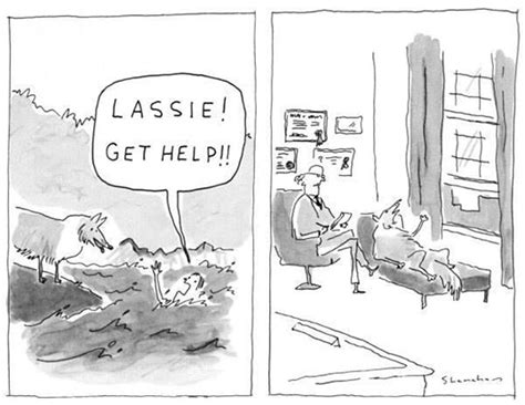 Lassie Finally Gets Help
