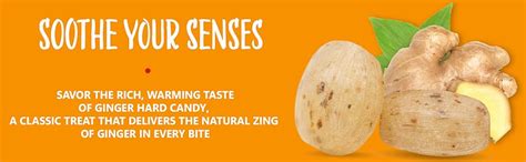 Ginger Mints Hard Candy 2 Pound Bag Old Fashioned Soothing Candies About 180