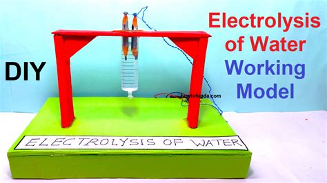 Easy Science Working Models