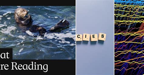 List Audio Curated By Harwin Jesse Medium