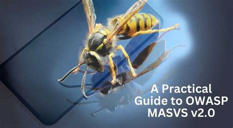 A Practical Guide To Owasp Masvs V20 Its Evolution And