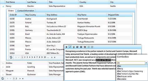q2 10 pre release series html editor joins the telerik exte