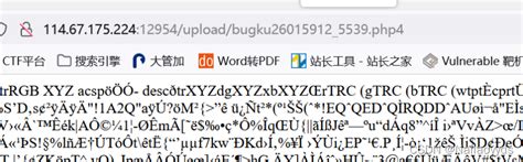 Bugku Ctfweb篇 文件上传my Name Is Margingive Me A Image File Not A Php Csdn博客