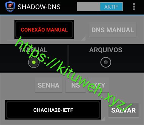 Cara Configurasi Shadowsocks Dns Di Kobras Shadow Dns Vpn Kitudigital